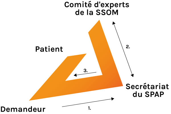 Procédure • Swiss Patient Access Pilot (SPAP)